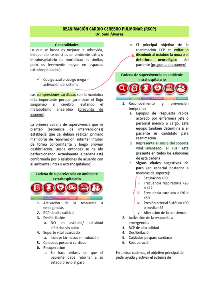 Reanimación RCCP | PDF | Reanimación cardiopulmonar | Especialidades Medicas