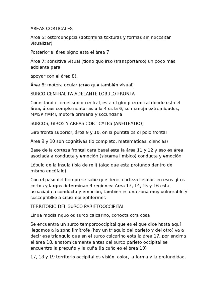 Áreas Corticales y Funciones Cerebrales | PDF | Lóbulo temporal | Afasia