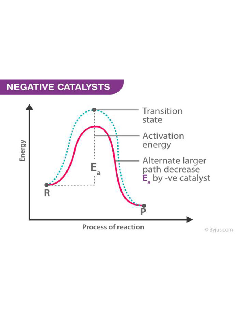Negative Cataylsts Diagram | PDF