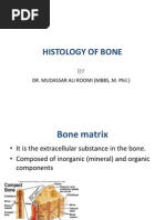 Typical vs Atypical Vertebrae Explained | PDF | Wellness