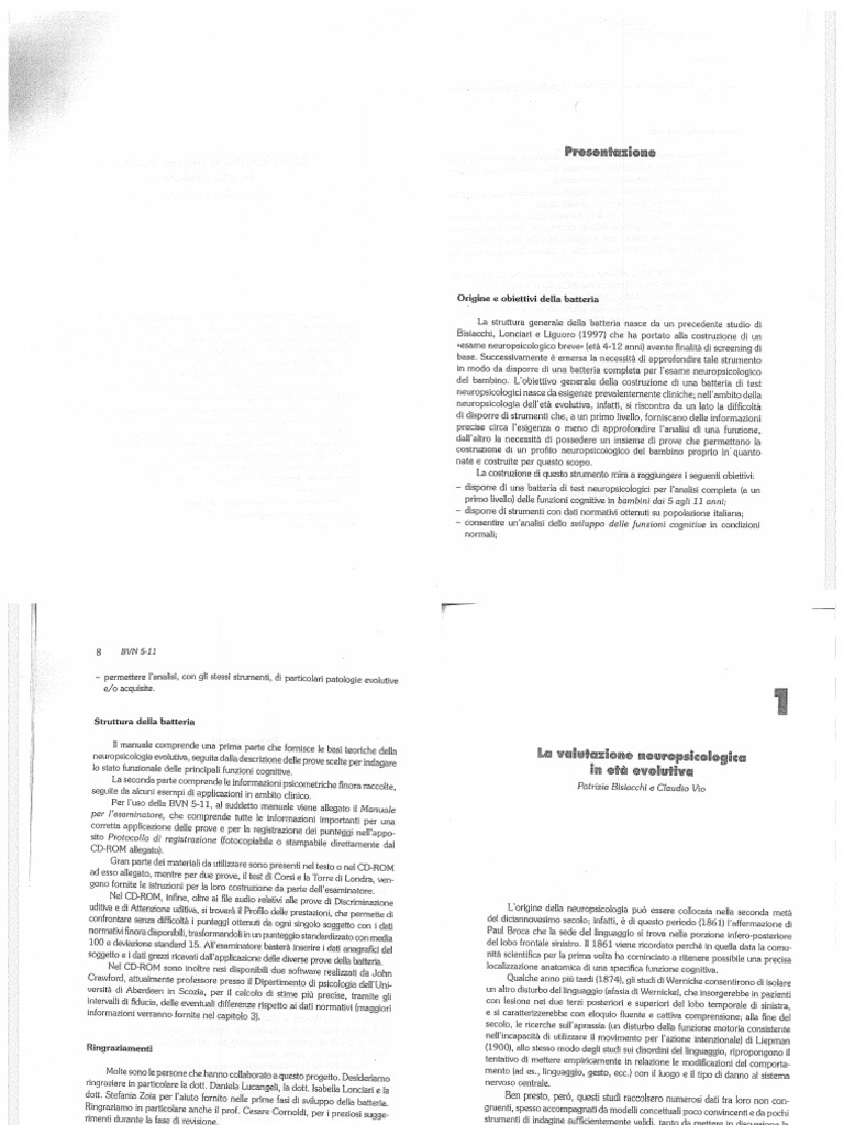 MANUALE (1) BVN | PDF