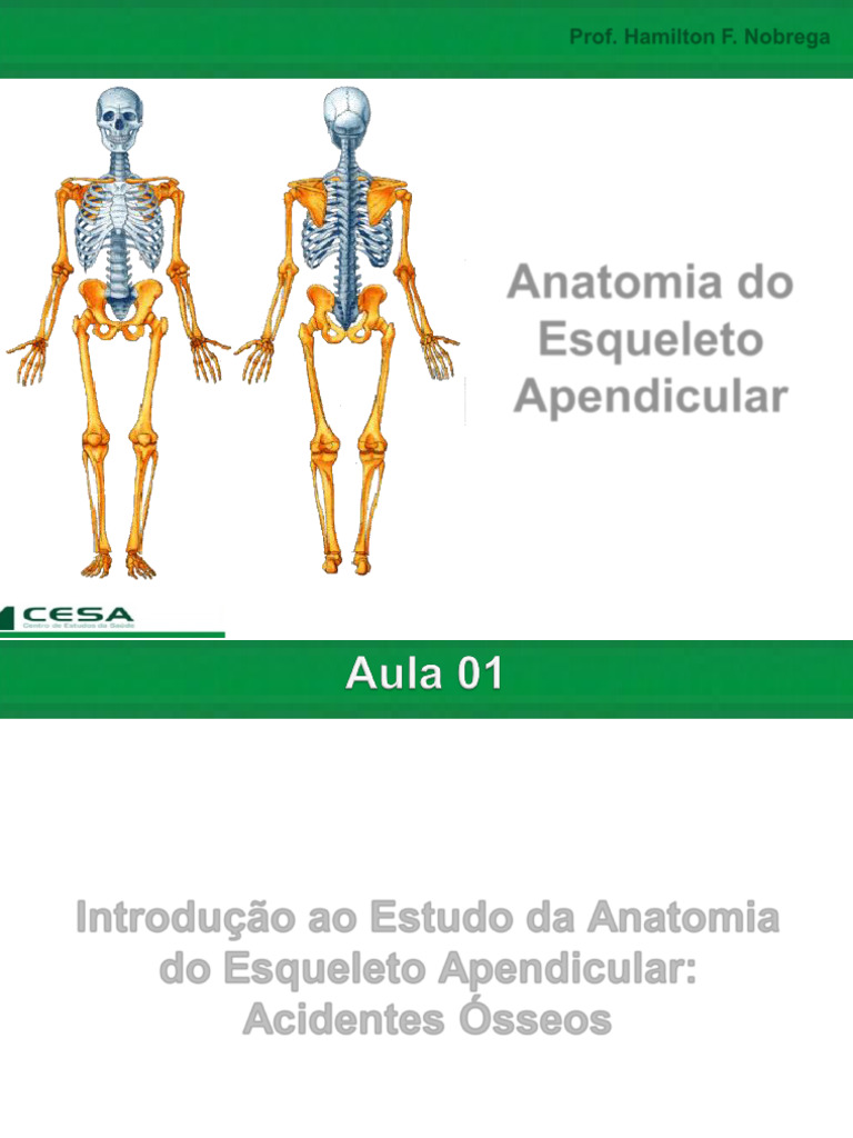 Aula 01 - Radiologia - Anatomia Do Esqueleto Apendicular | PDF | Esqueleto | Osso
