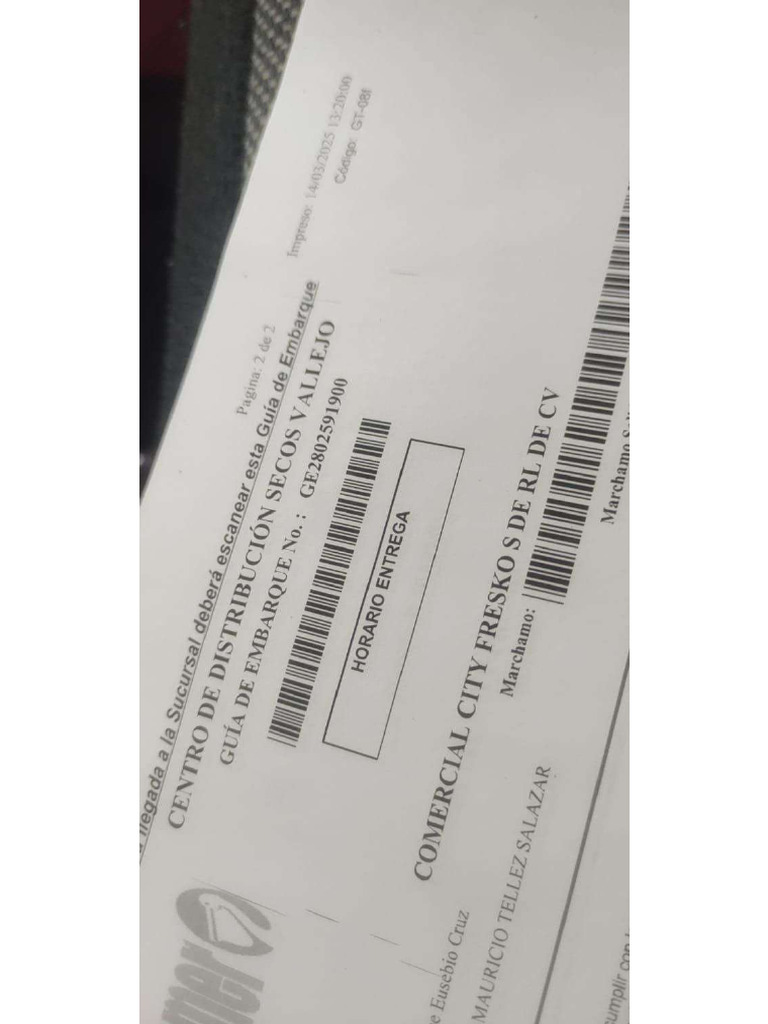 Guia de Embarque | PDF