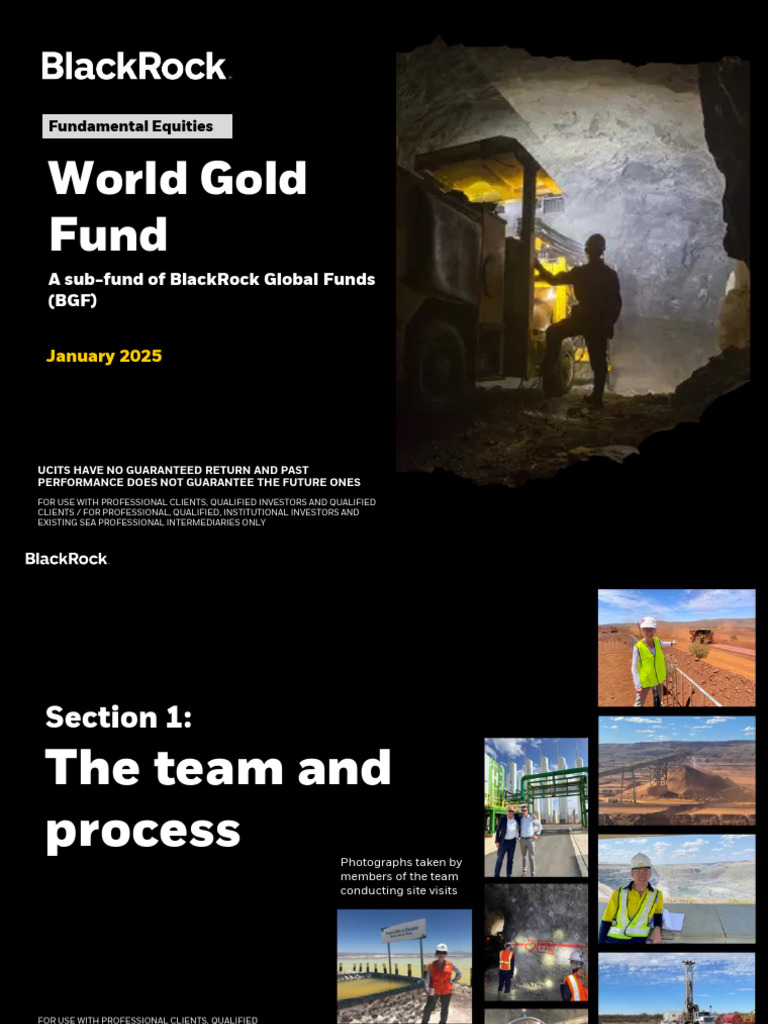 BGF World Gold Fund Presentation January 25 STAMPED | PDF | Black Rock ...