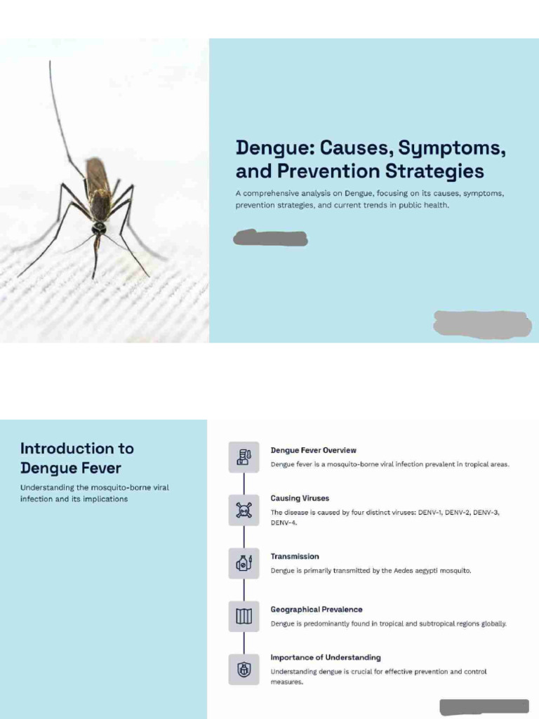 Understanding Dengue Causes Symptoms and Prevention-1 | PDF