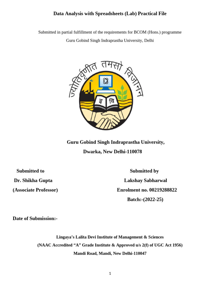 Lakshay Excel Project File | PDF | Microsoft Excel | Spreadsheet