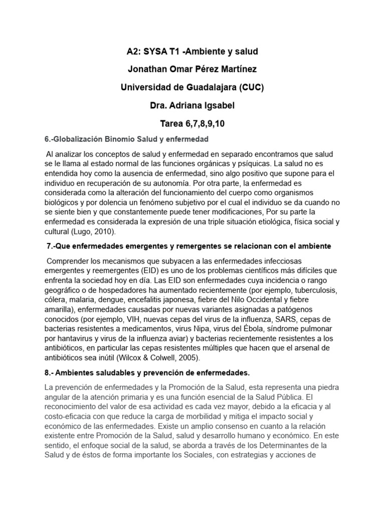 SYSA A2 T1 PérezJonathan | PDF | Igualdad de género | Estudios de género