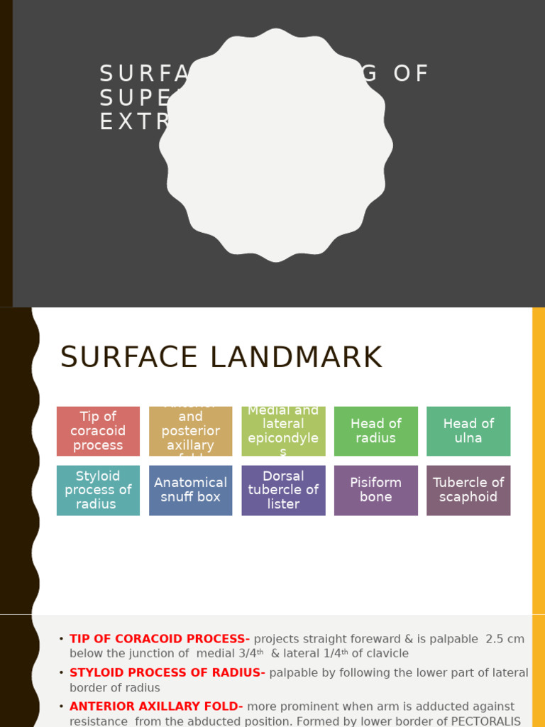 Surface Marking of Upper Extremity | PDF | Arm | Elbow