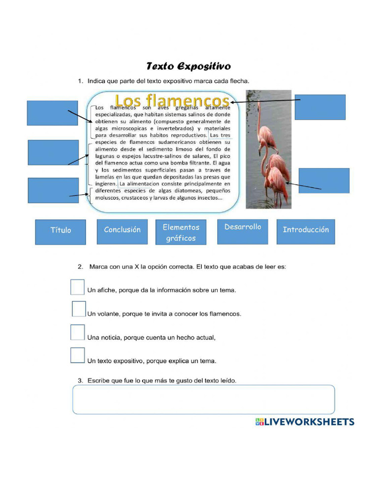 Texto expositivo partes y patratexto (1) | PDF