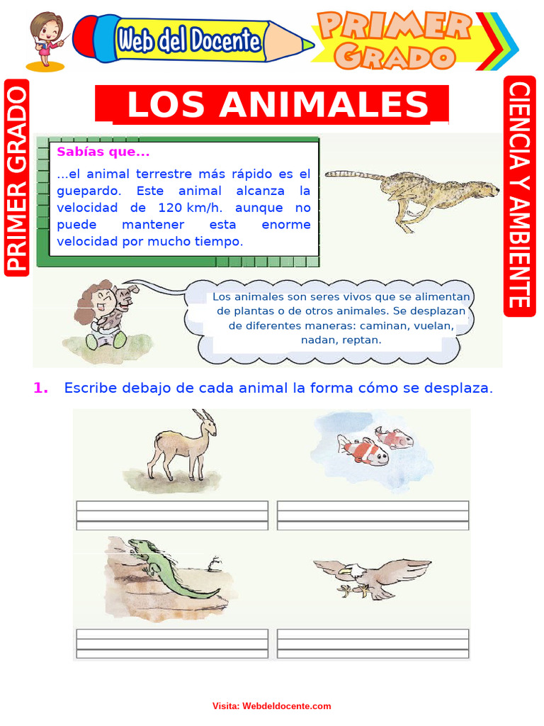 Animales Primer Grado de Primaria | PDF