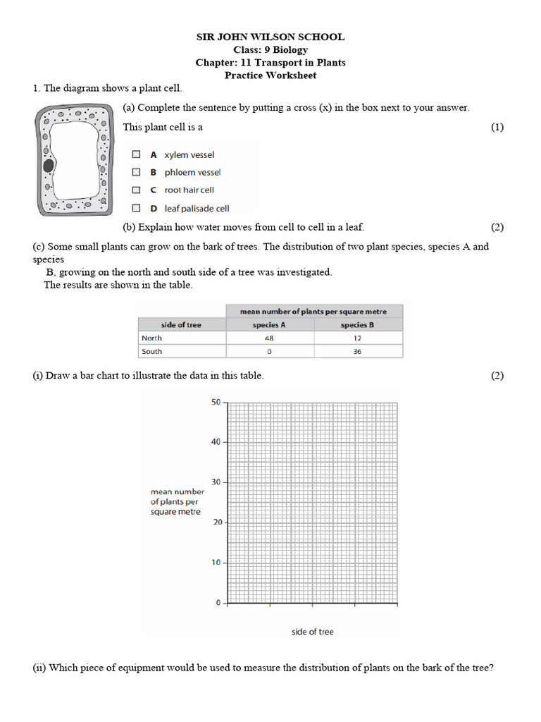Plant Transport Mechanisms Worksheet | PDF | Water | Plants