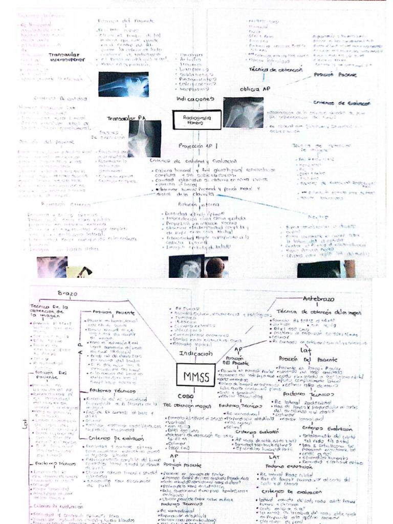Mapas Mentales (1) - Compressed | PDF