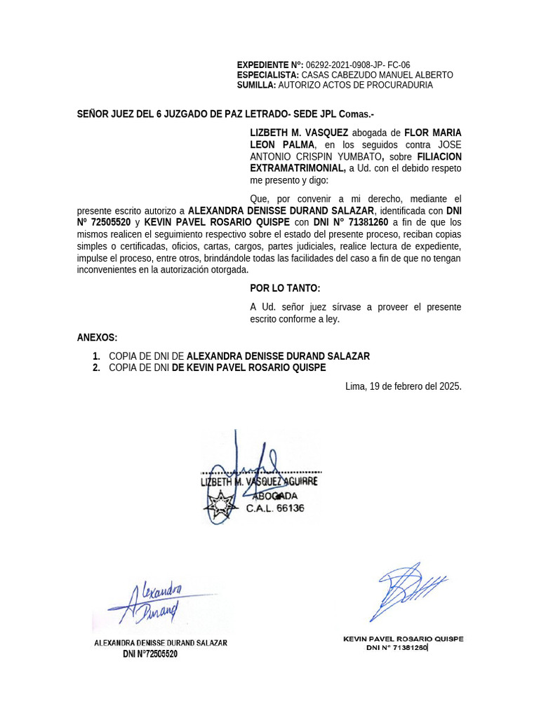 Actos de Procuradoria Caso Flor Maria Leon Palma | PDF