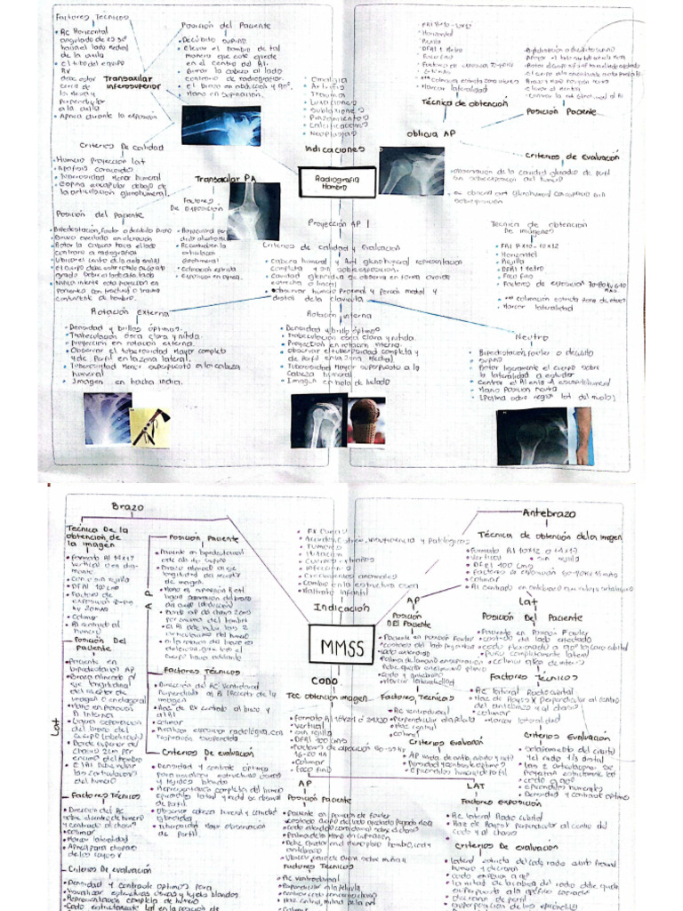 Mapas Mentales | PDF