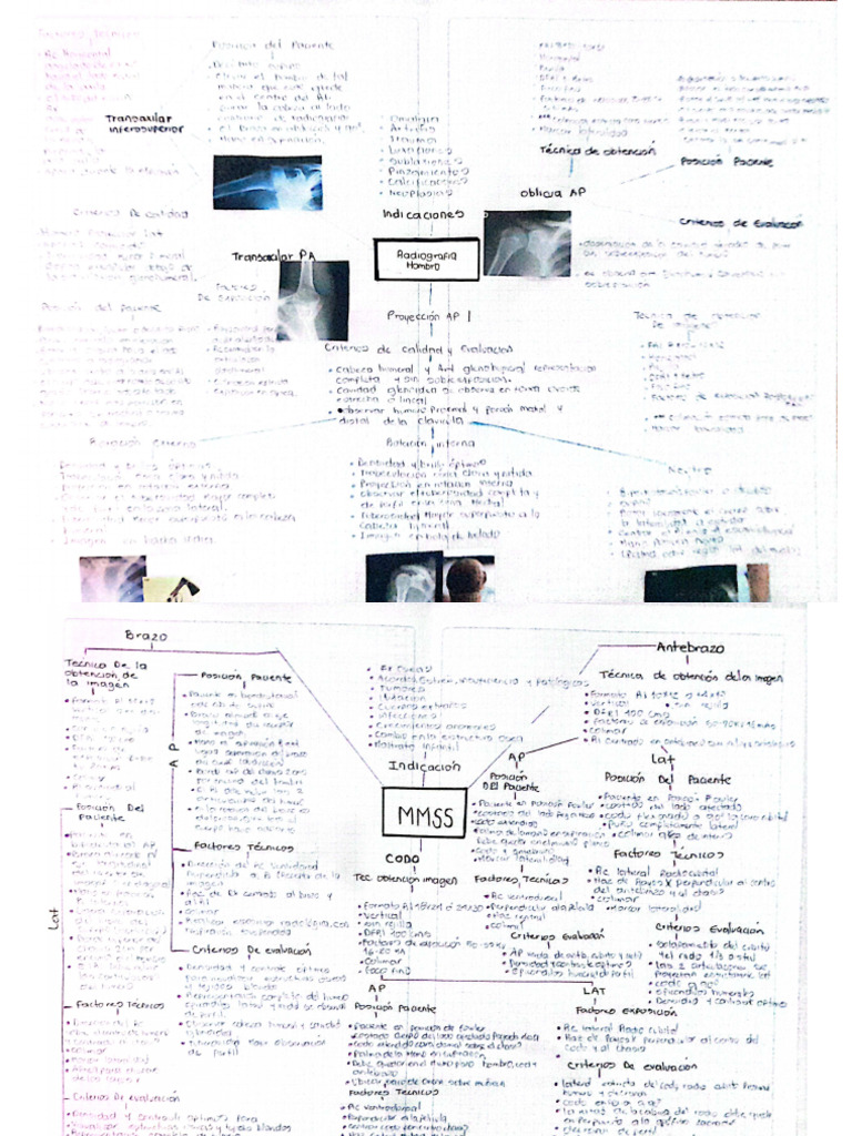 Mapas Mentales | PDF