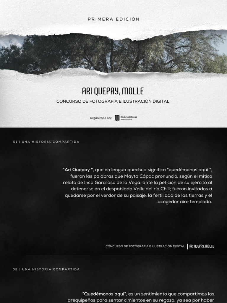 CONCURSO ARI QUEPAY MOLLE | PDF