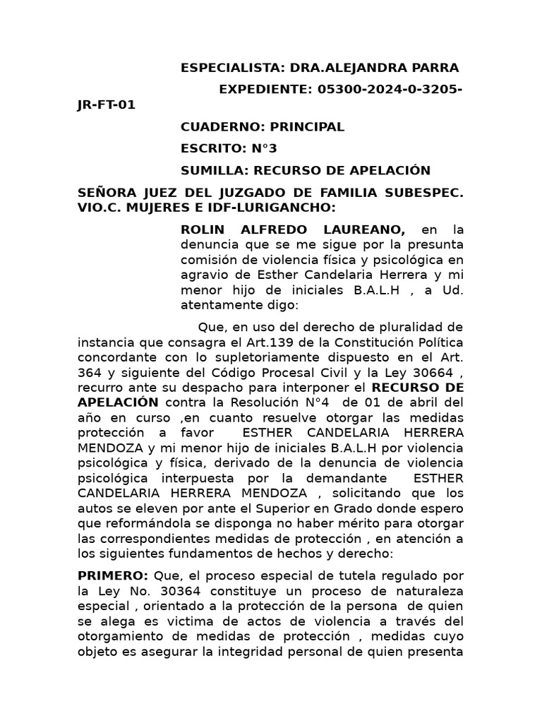 Recurso de Apelacion Medidas de Proteccion Rolin | PDF | Apelación | Violencia
