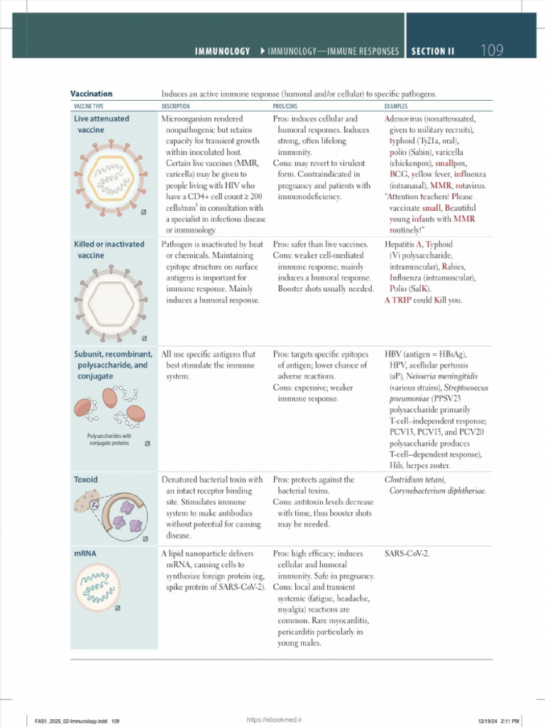 FA 24 Vs 25 | PDF