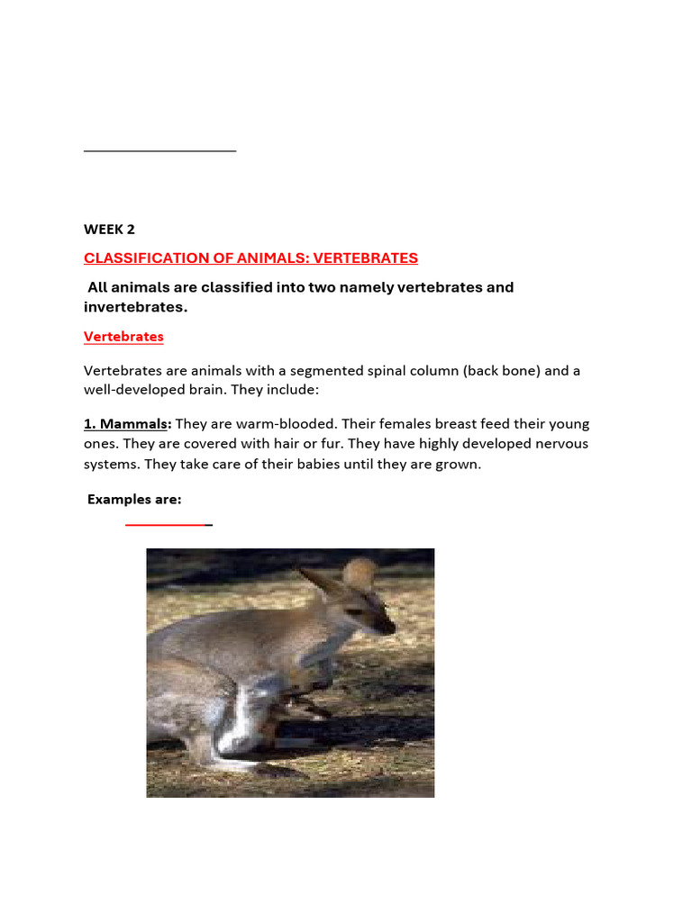 2ND Term Class 6 Extended Notes | PDF | Erosion | Natural Environment