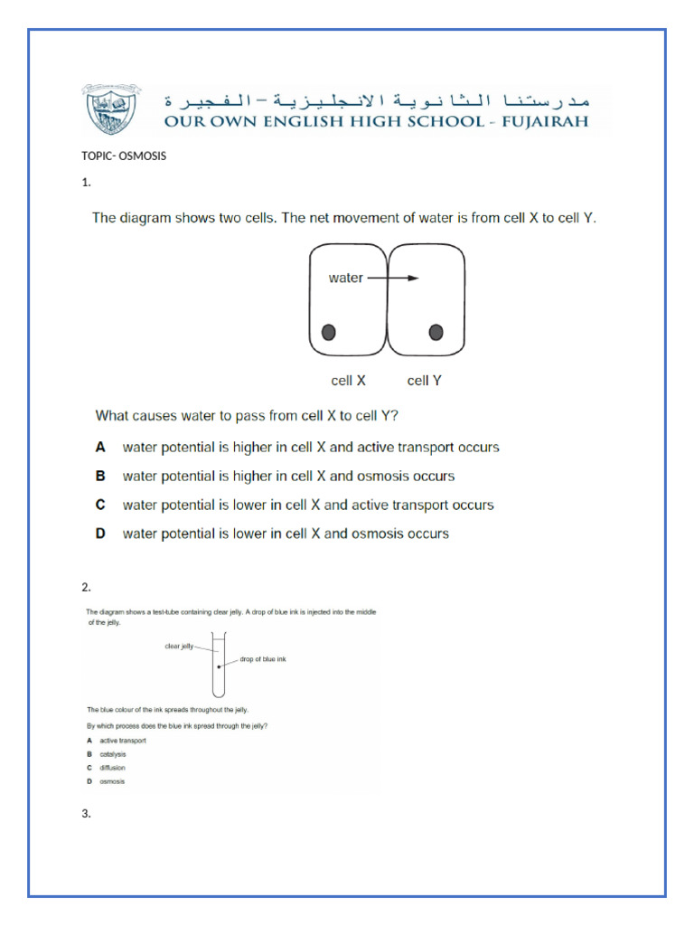 Osmosis Work Sheet - 2 | PDF