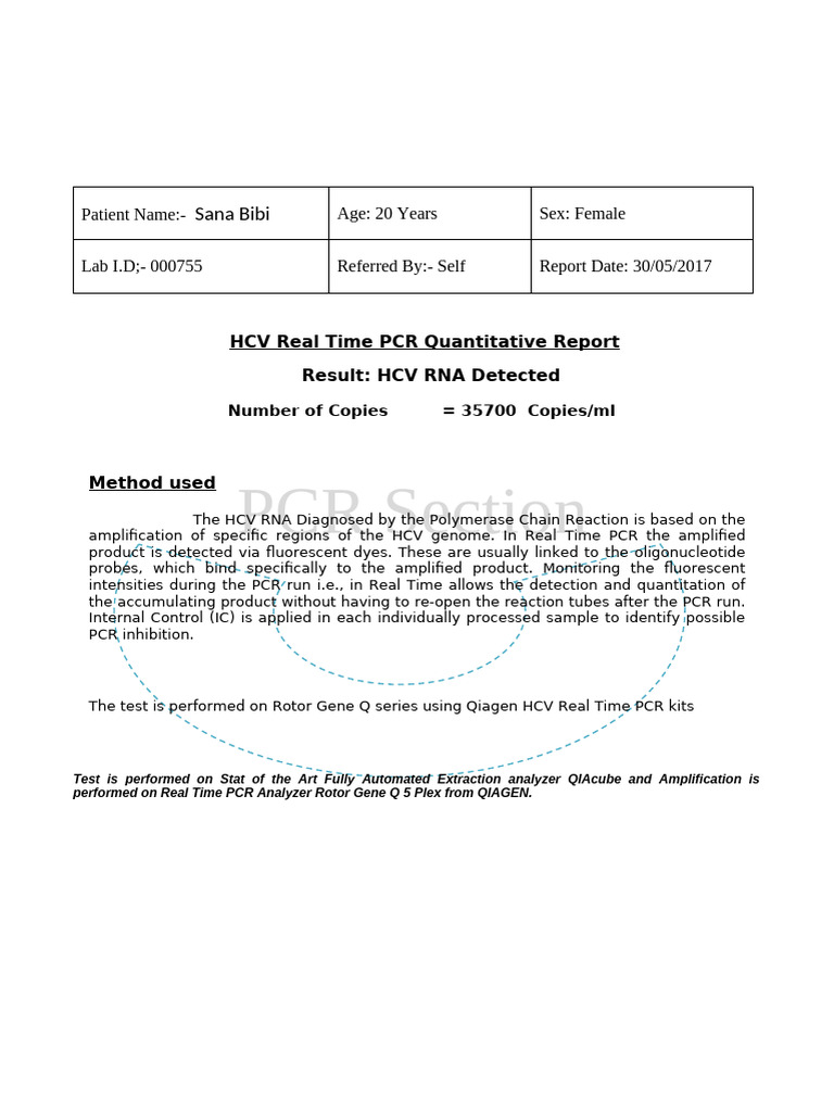 HCV Quantitative PCR | PDF