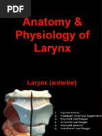 Anatomy of the Glottis and Subglottis | PDF | Larynx | Human Head And Neck