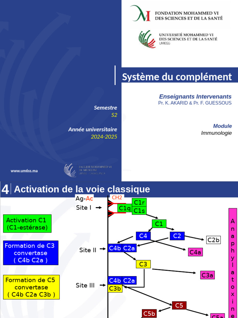CM4 Supplement Activation Du Complement VC Animation | PDF | Système du ...
