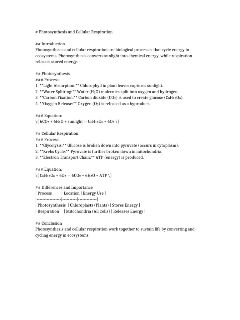 Photosynthesis and Cell Respiration | PDF