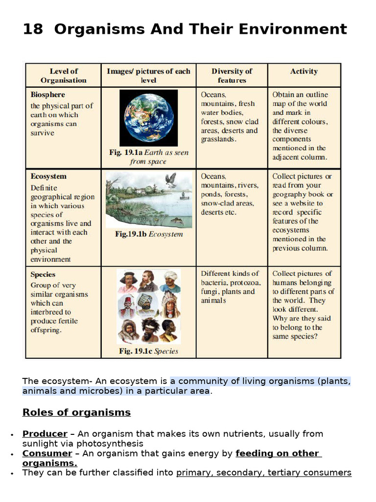 18 Organisms and Their Environment | PDF | Food Web | Water Vapor