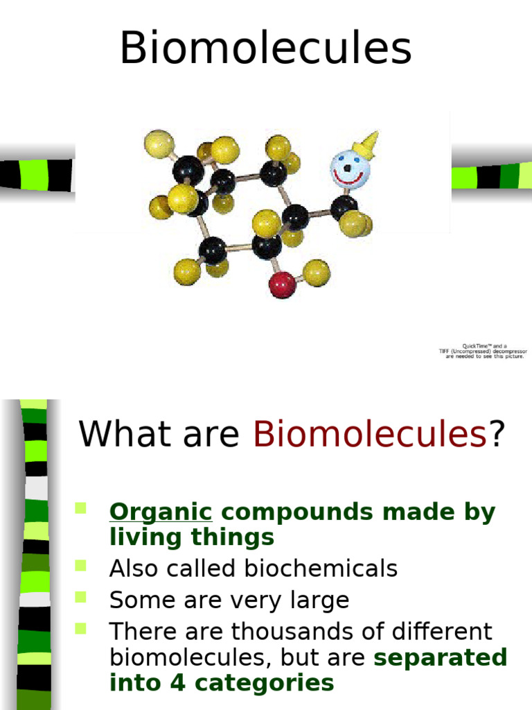 Biomolecules Powerpoint | PDF | Fat | Carbohydrates