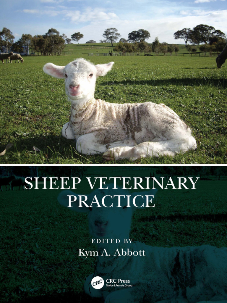 Sheep Veterinary Practice - Kym A Abbott | PDF | Sheep | Hypothyroidism
