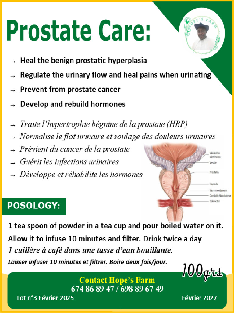 Prostate Care | PDF