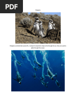 Penguin Facts vs Opinions Game | PDF