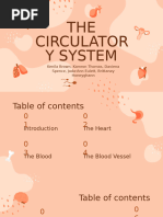 Overview of the Circulatory System | PDF | Blood Vessel | Heart