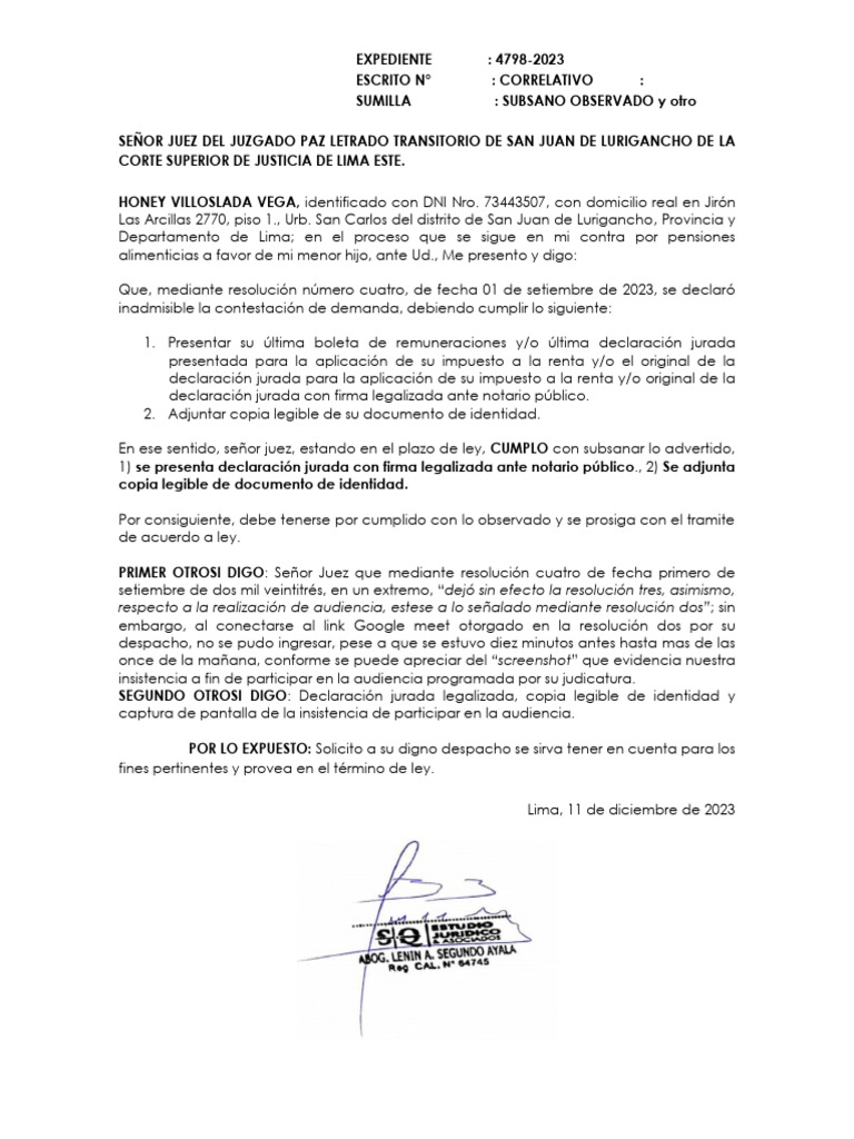 Subsana Observaciones en Proceso Judicial | PDF