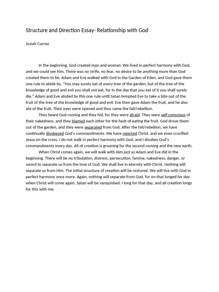 Structure and Direction Essay | PDF