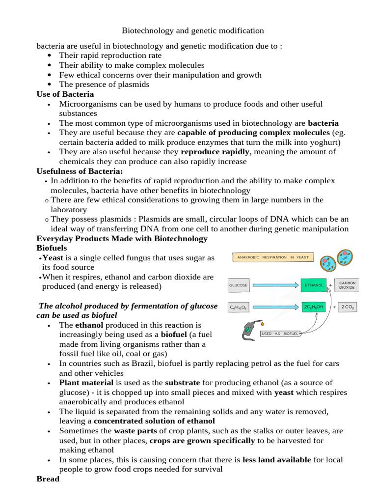 Biotechnology in Food and Medicine | PDF | Biotechnology | Bacteria