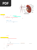IRIS Pocket Guide To CKD PDF | PDF | Chronic Kidney Disease | Creatinine