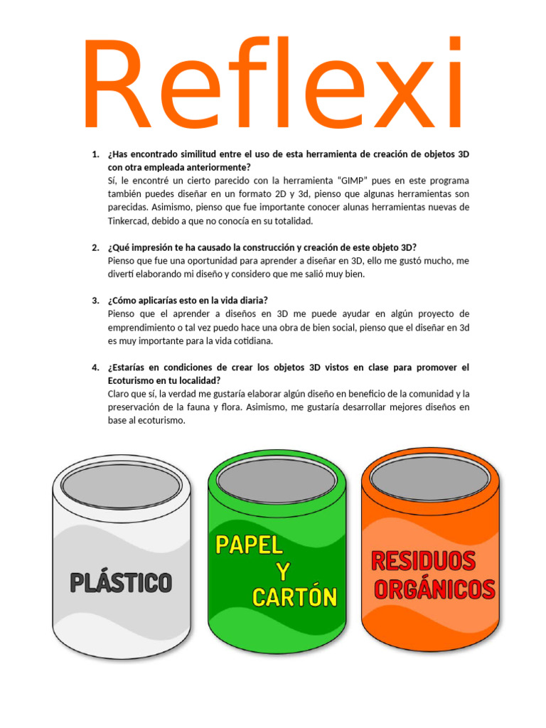 Reflexion Dmpa 2 | PDF