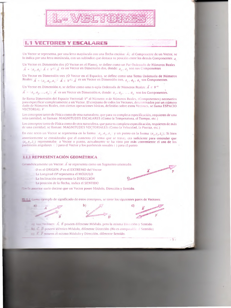 Vectores y Escalares S | PDF