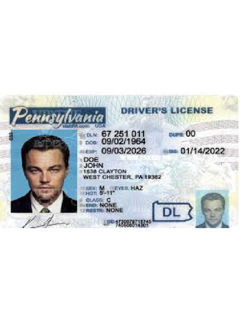 Images - 2025-03-20T013734.395 | PDF