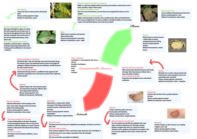 Communicable Disease Poster | PDF | Pathogen | Malaria