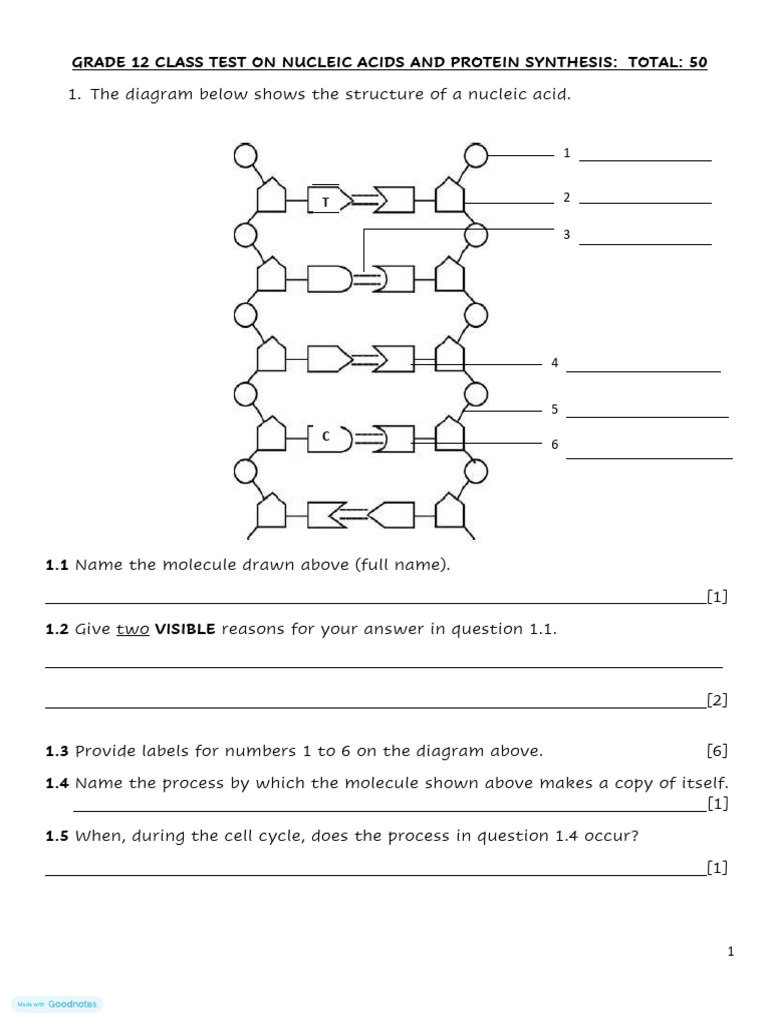 Grade 12 Test: Nucleic Acids & Protein | PDF | Translation (Biology ...
