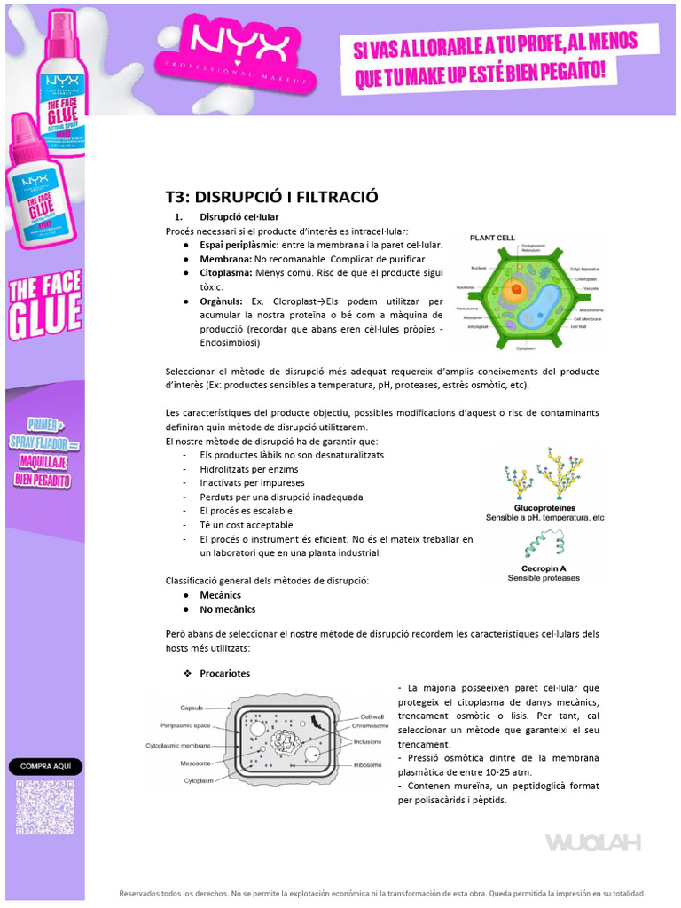 T3: Disrupció I Filtració: 1. Disrupció Cel Lular Espai Periplàsmic: Membrana: Citoplasma ...