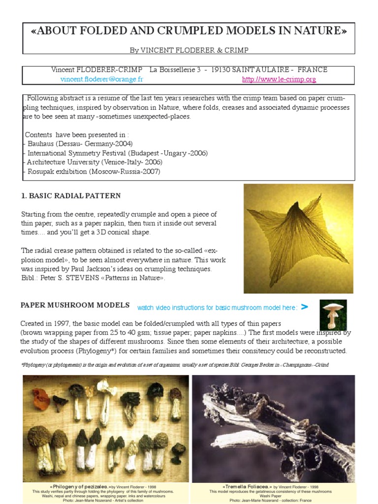 Crumpling Techniques Inspired by Nature | PDF | Origami | Mathematical ...