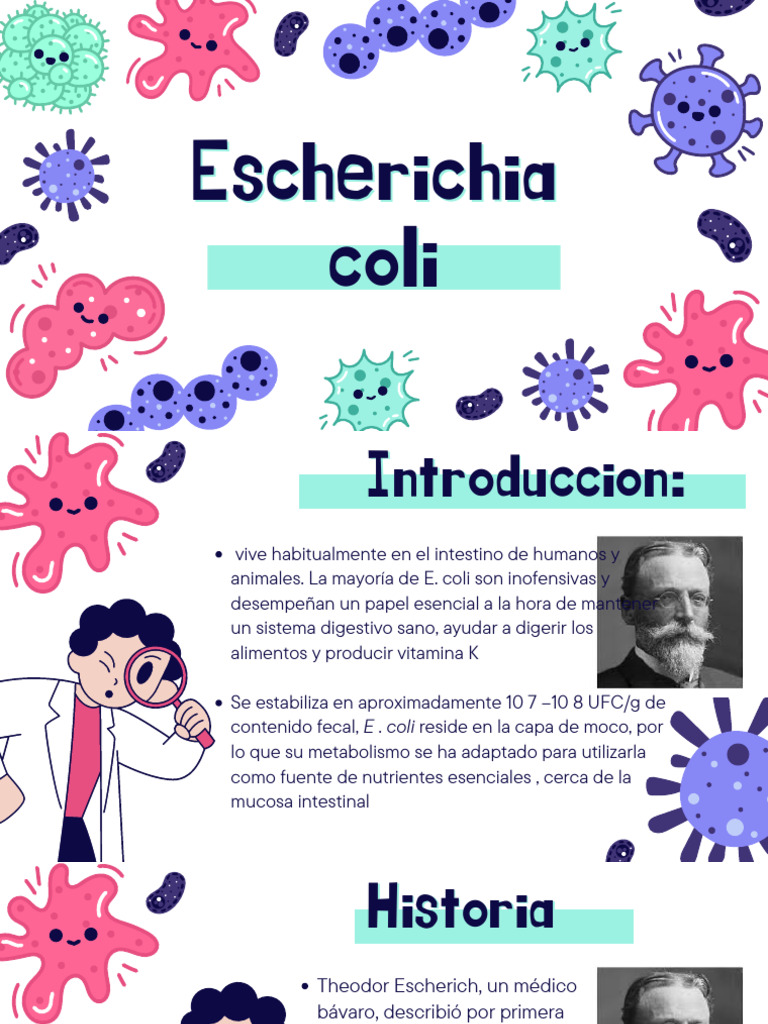 Escherichia 2.0coli | PDF | Escherichia coli | Diarrea