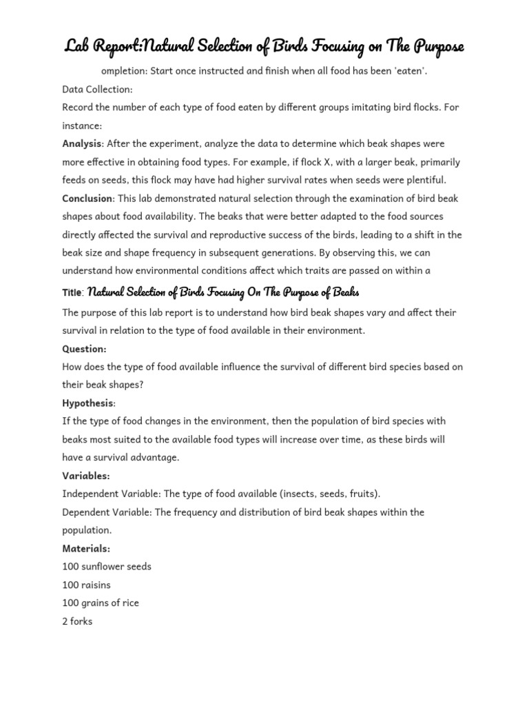 Bird Beak Adaptation Lab Report | PDF | Foods | Natural Selection