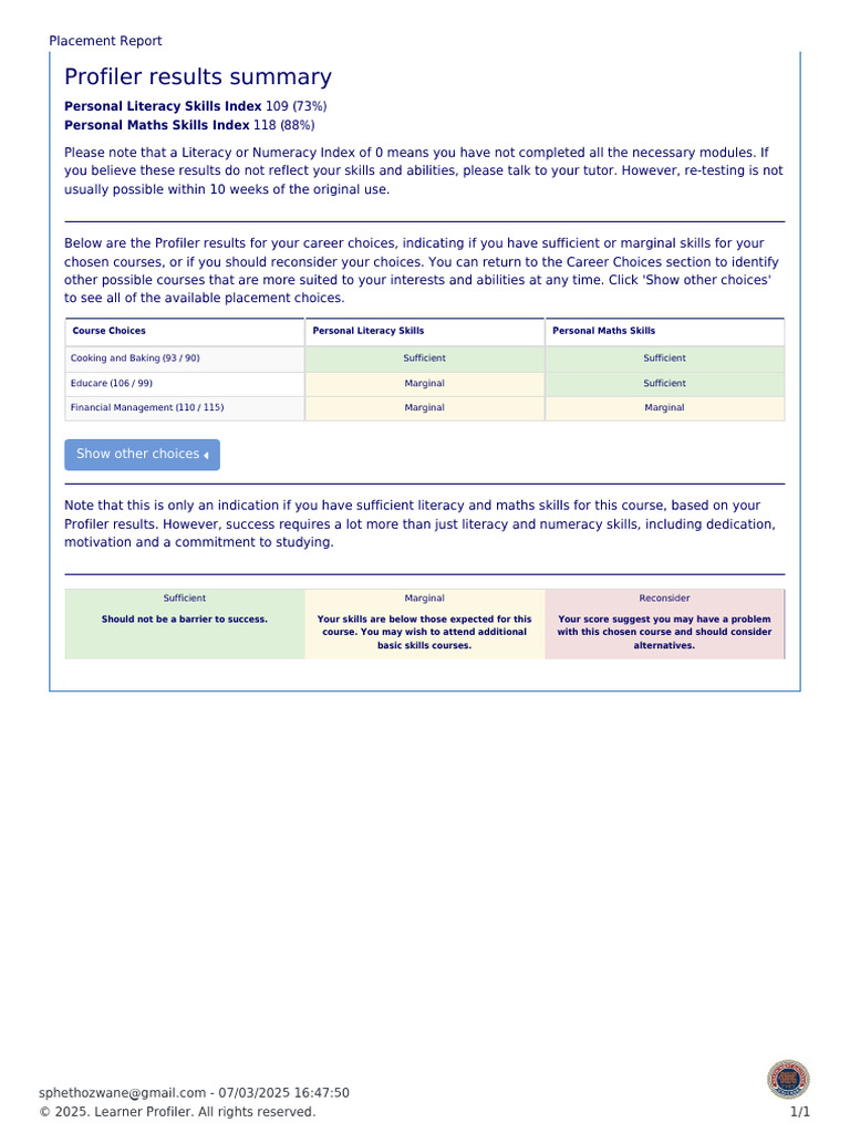Placement Report | PDF