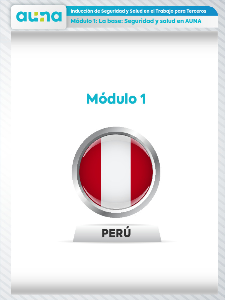 Descargable Modulo1 Peru | PDF