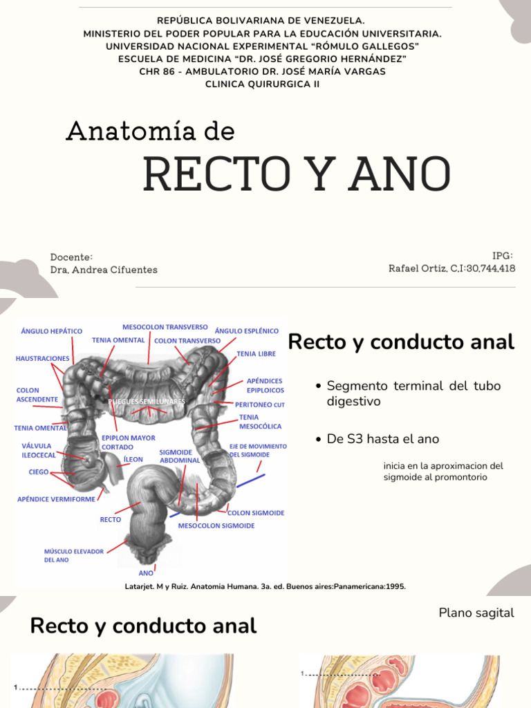 Anatomía del Recto y Conducto Anal | PDF | Recto | Vagina
